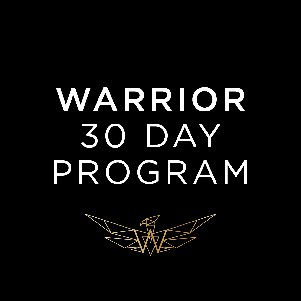 30 Day Warrior Program – Mind, Nutrition and Exercise habits – Warrior